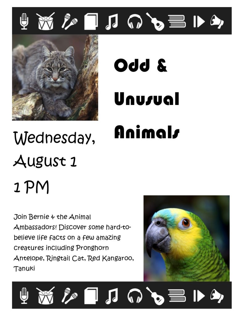 Odd and Unusual Animals – The Community Library